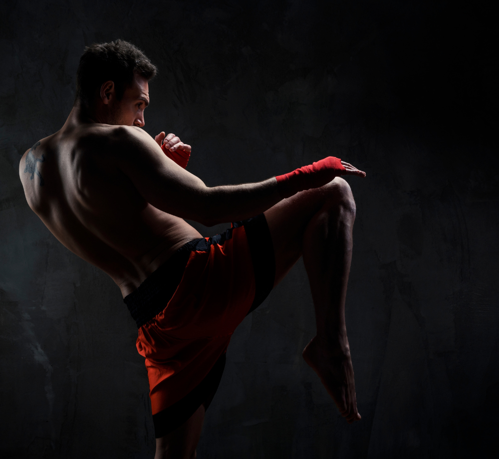 Pro Martial Arts | Magna Vitae