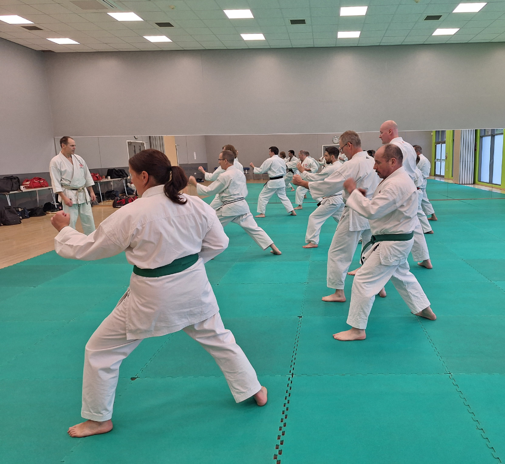Akeru Shin Karate Academy | Magna Vitae