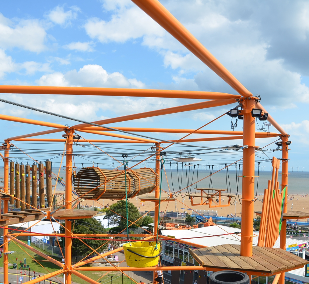 The Main Course | Magna Vitae